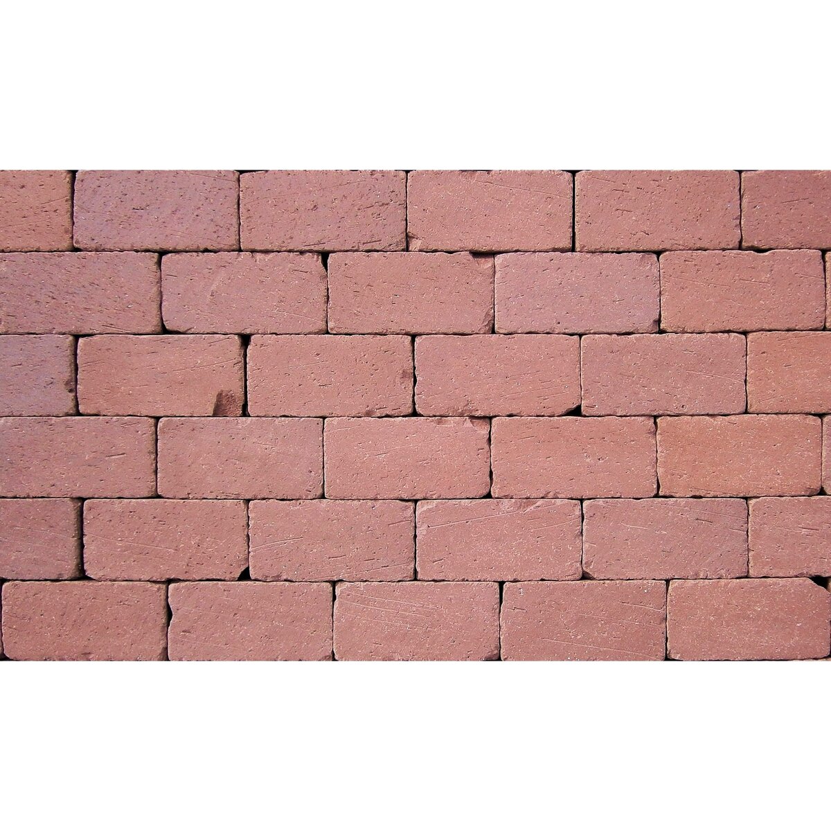 Pine Hall English Edge Clay Paver Beveled Red 4 in. x 8 in. x 2-1/4 in ...
