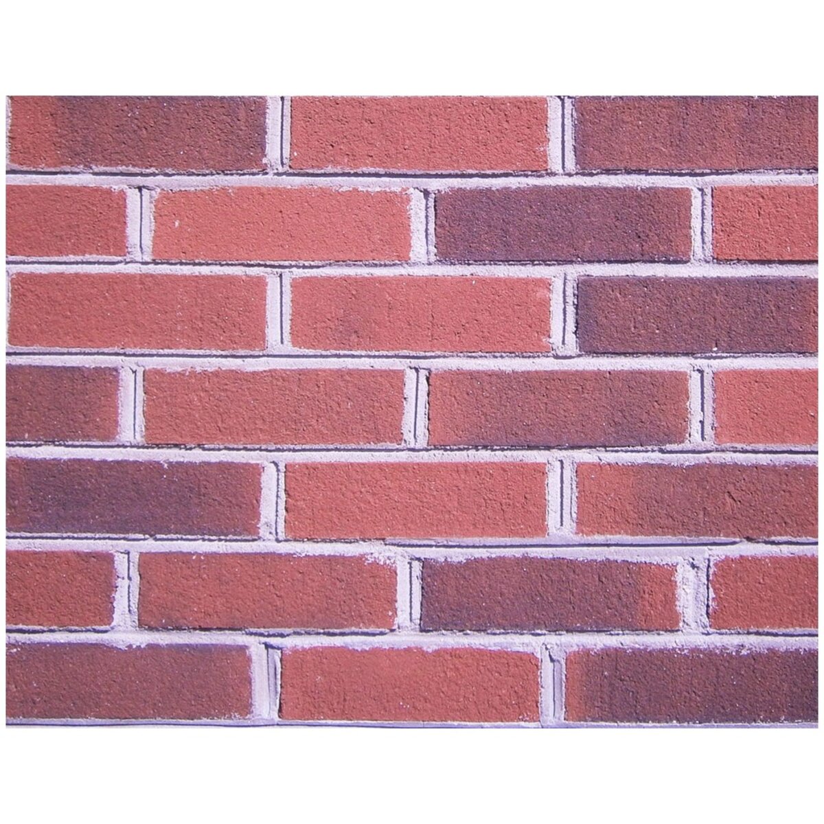 Pine Hall Cored Brick (495 pc./pallet) | SiteOne US