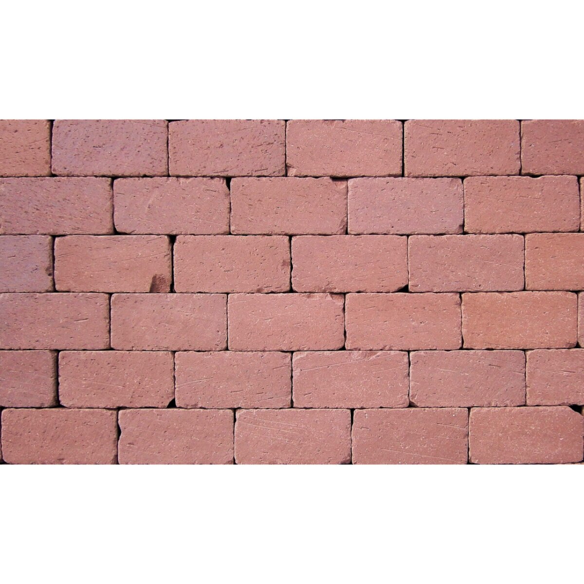 Pine Hall Rumbled Paver Red 4 in. x 8 in. x 2-1/4 in. (104 sq. ft ...