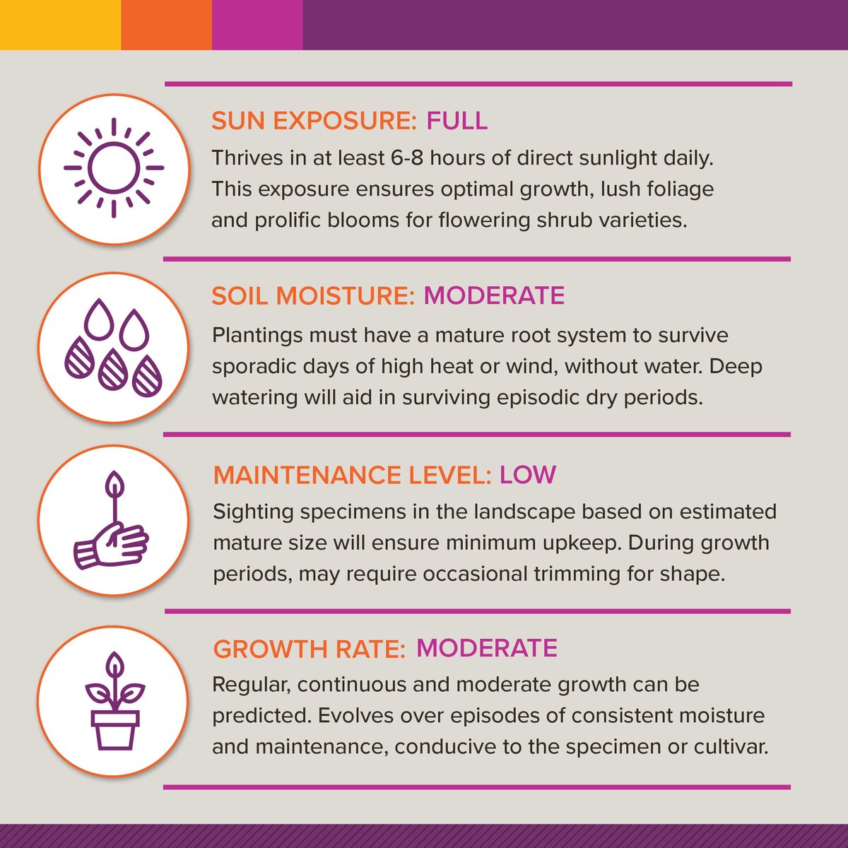 Buddleia Davidii Dapper Lavender Portfolio Butterfly Bush | SiteOne US