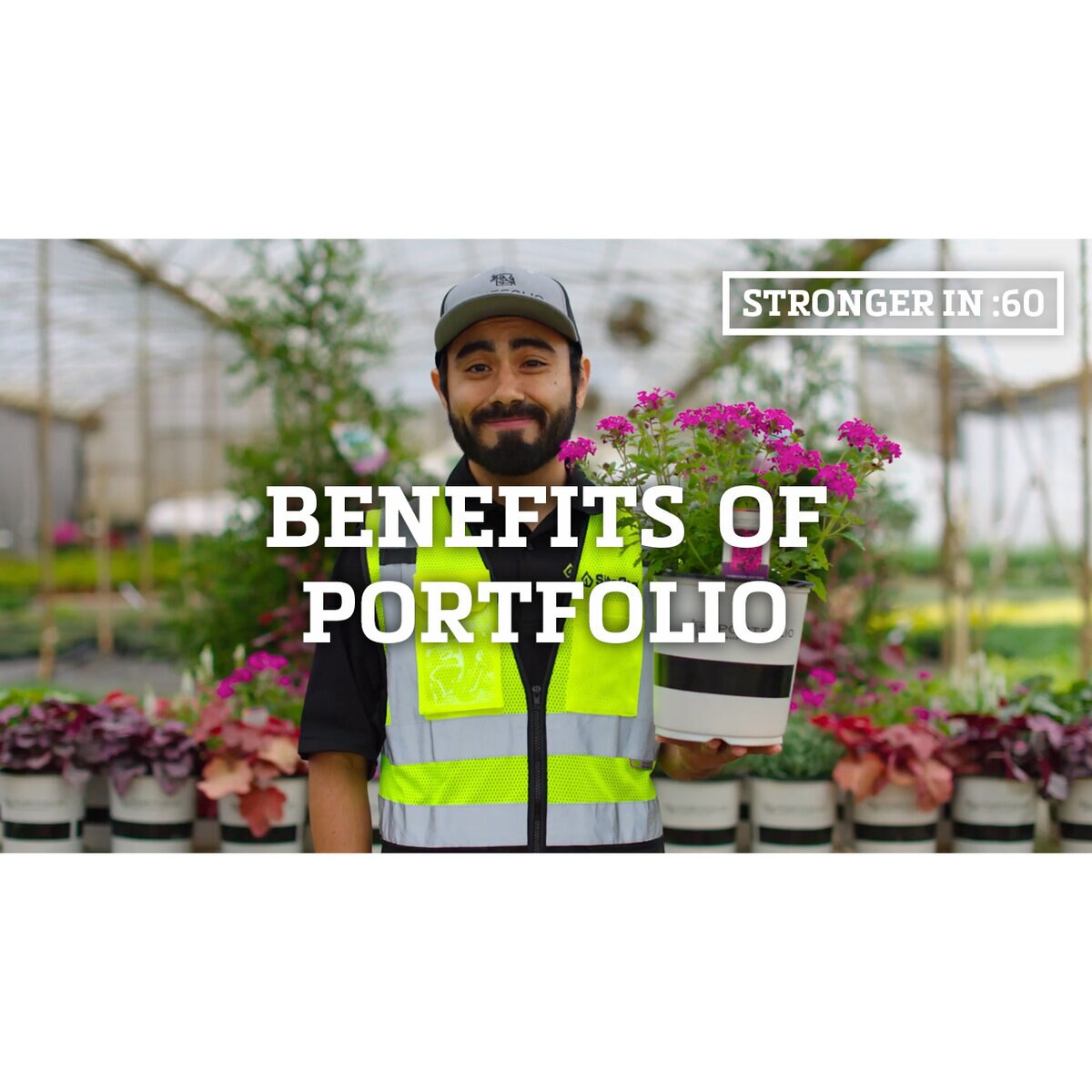 Buddleia Davidii Dapper Lavender Portfolio Butterfly Bu | SiteOne