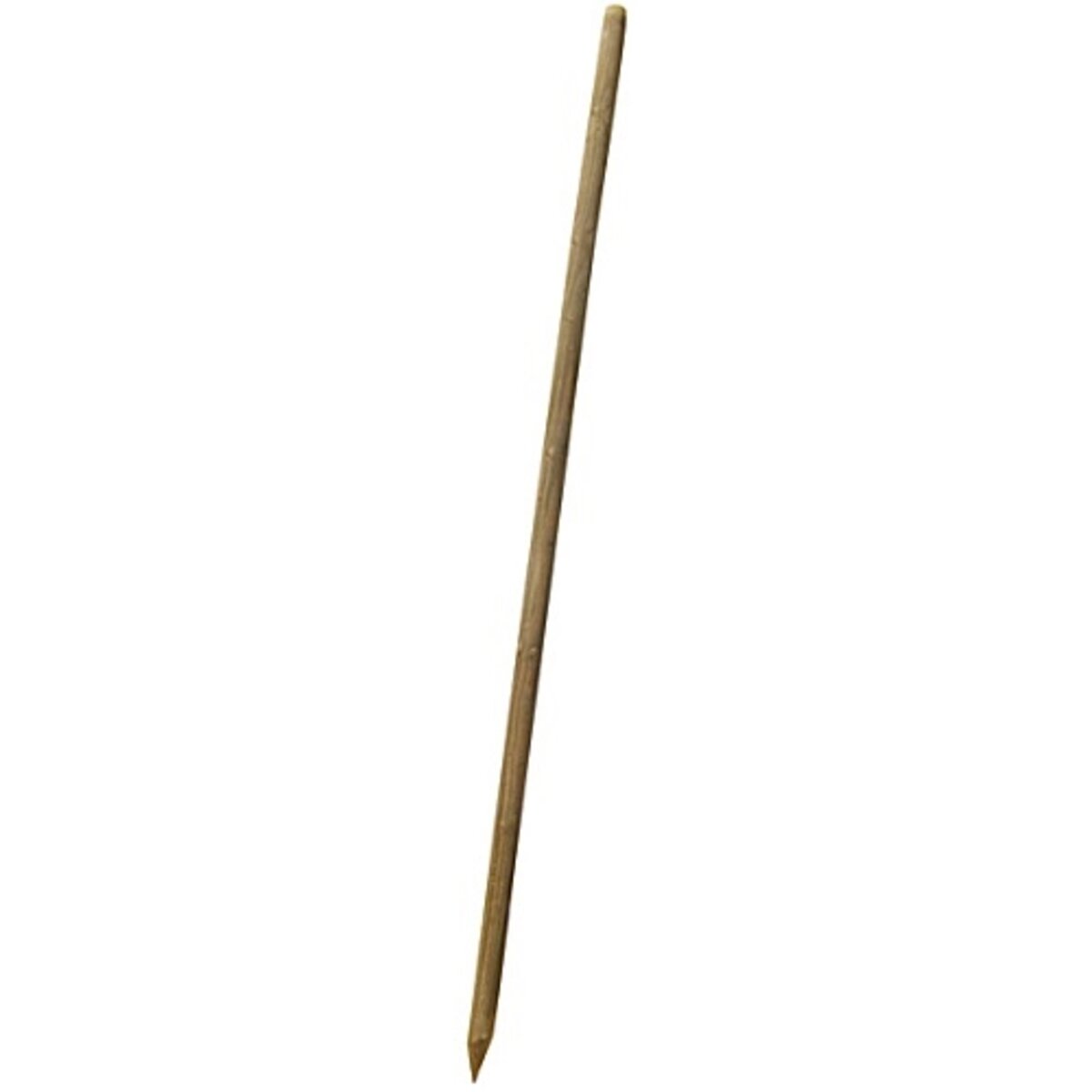 Pro-Steel Tree Stake Lodge Pole Treated 2 in. x 2 in. x 8 ft | SiteOne US