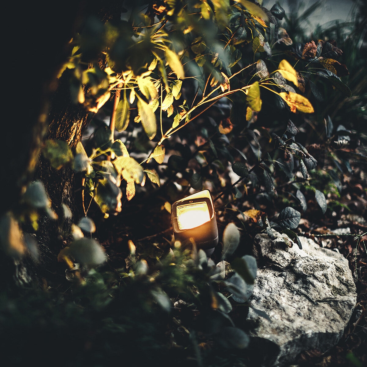 Pro-Trade FL1 Flood Light Brass Housing Antique Finish No Lamp | SiteOne US