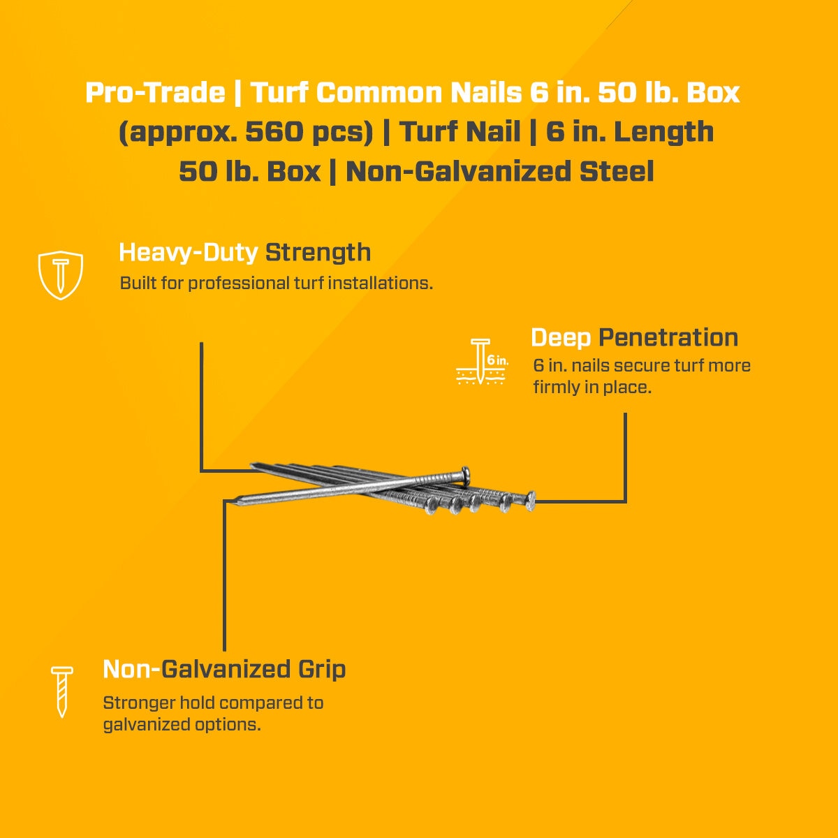 Pro-Trade Turf Common Nails 6 in. 50 lb. Box (approx. 560 pcs) | SiteOne US