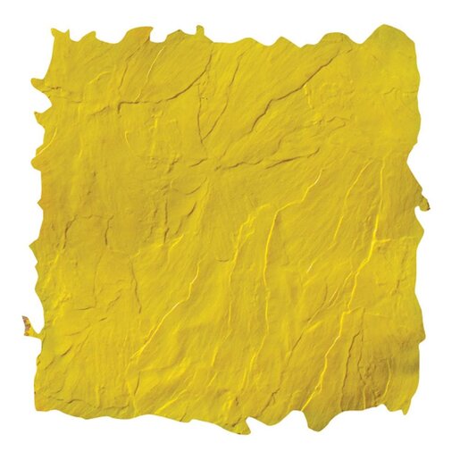 Proline Seamless Texturing Skin Italian Slate Skin 3 ft. x 3 ft | SiteOne