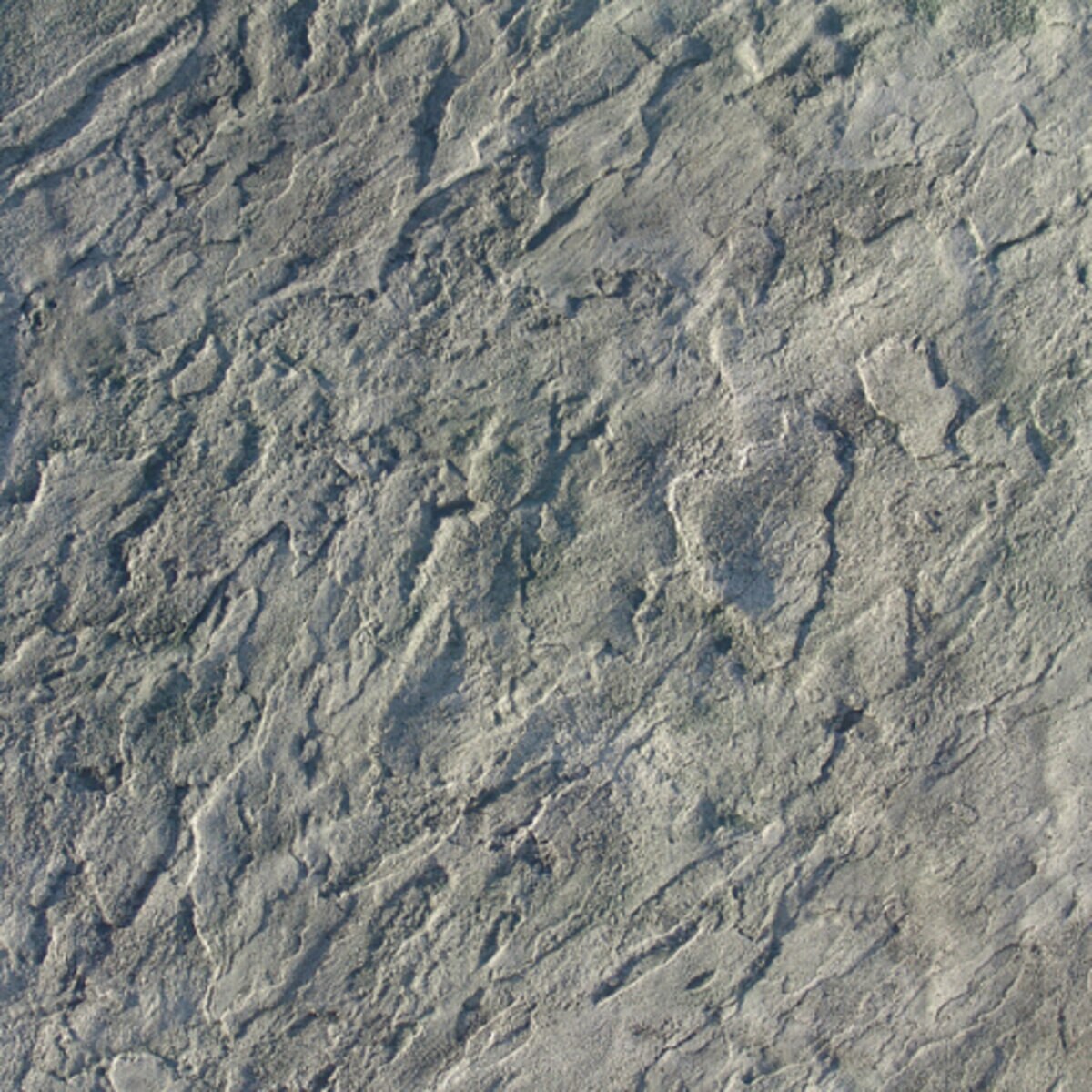 Proline Seamless Texturing Skin Bluestone Super Flex 20 | SiteOne