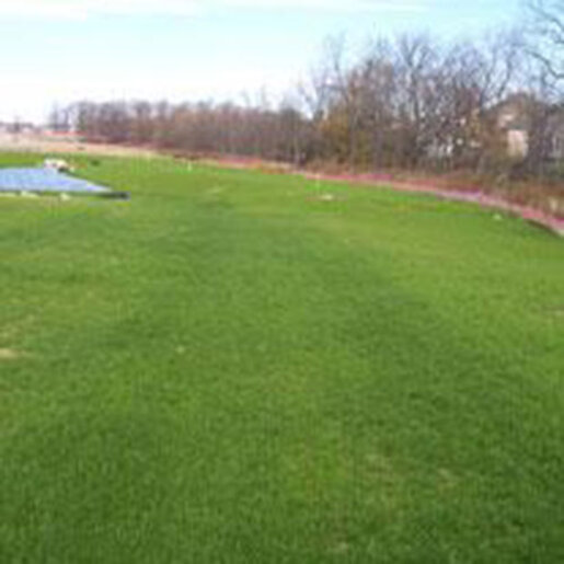 Profile Futerra F4 Netless Blanket Green 6-1/2 ft. x 90 ft | SiteOne