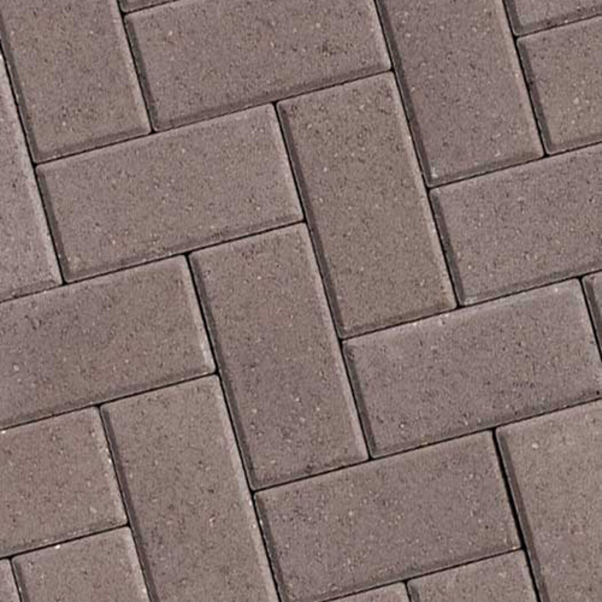 RCP Holland Paver Charcoal 8 cm 4 x 8 x 3-1/8 in | SiteOne US