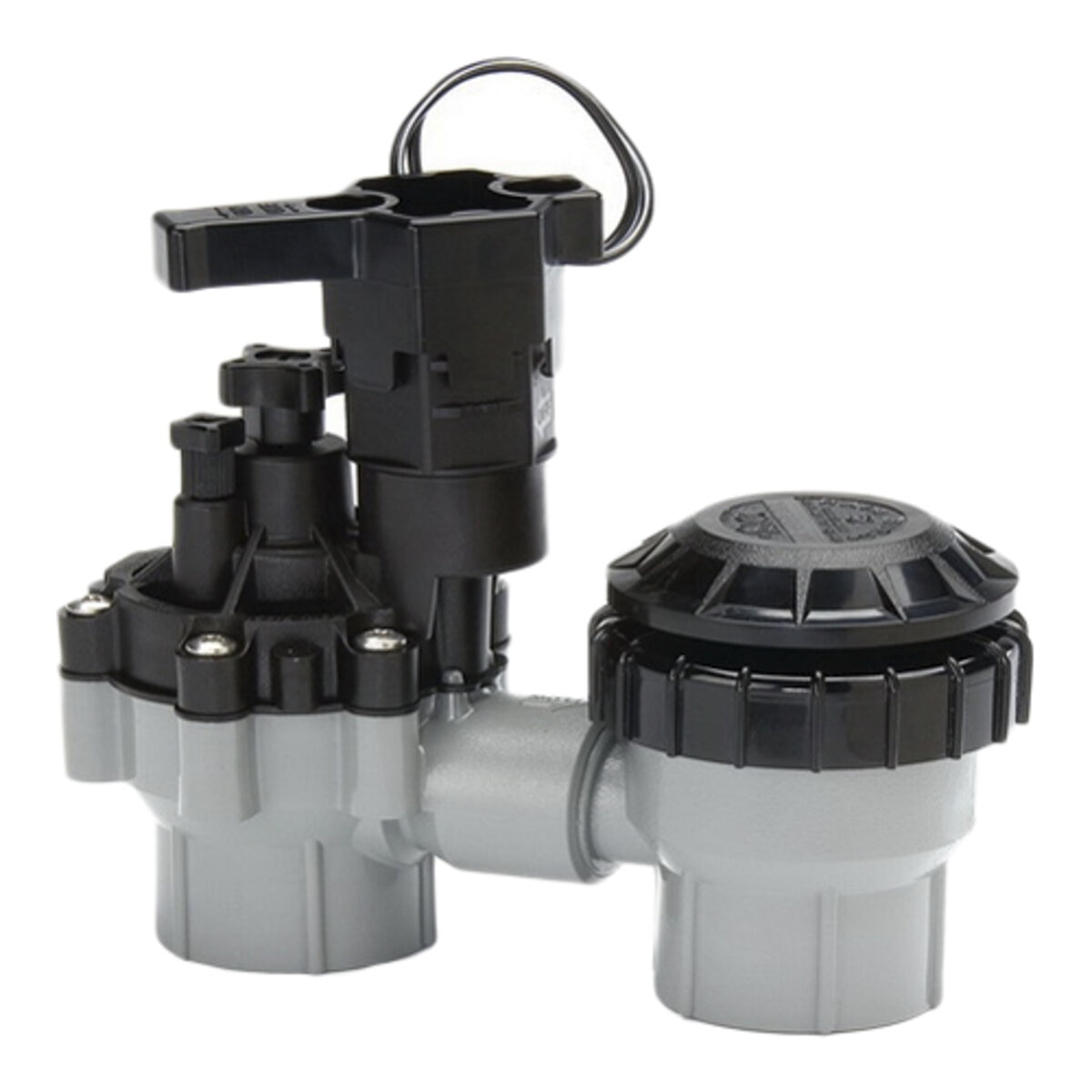 Anti-Siphon Valve 1 in. & PVC Backflow Preventer - Rain Bird