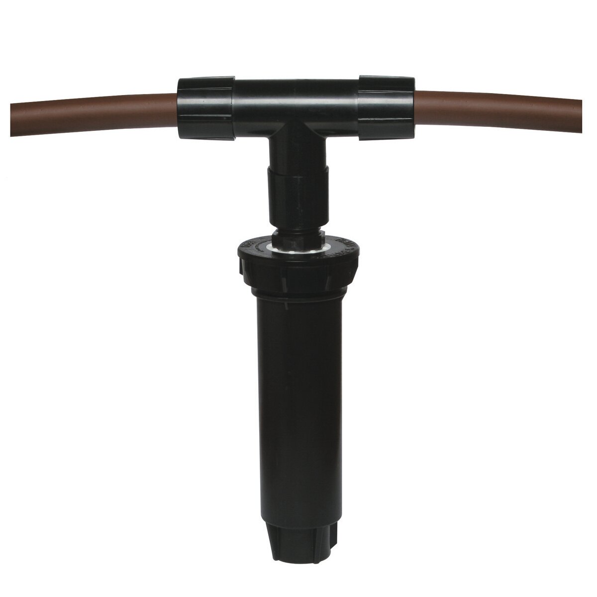 Rain Bird Adapter 1/2 in. Fpt | SiteOne US