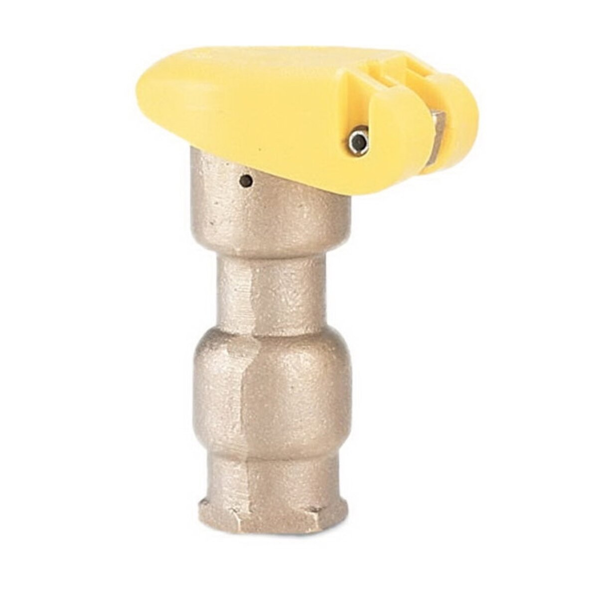 Rain Bird Quick Coupling Valve 3/4 in. FIPT Inlet 2 pc. Body Double ...