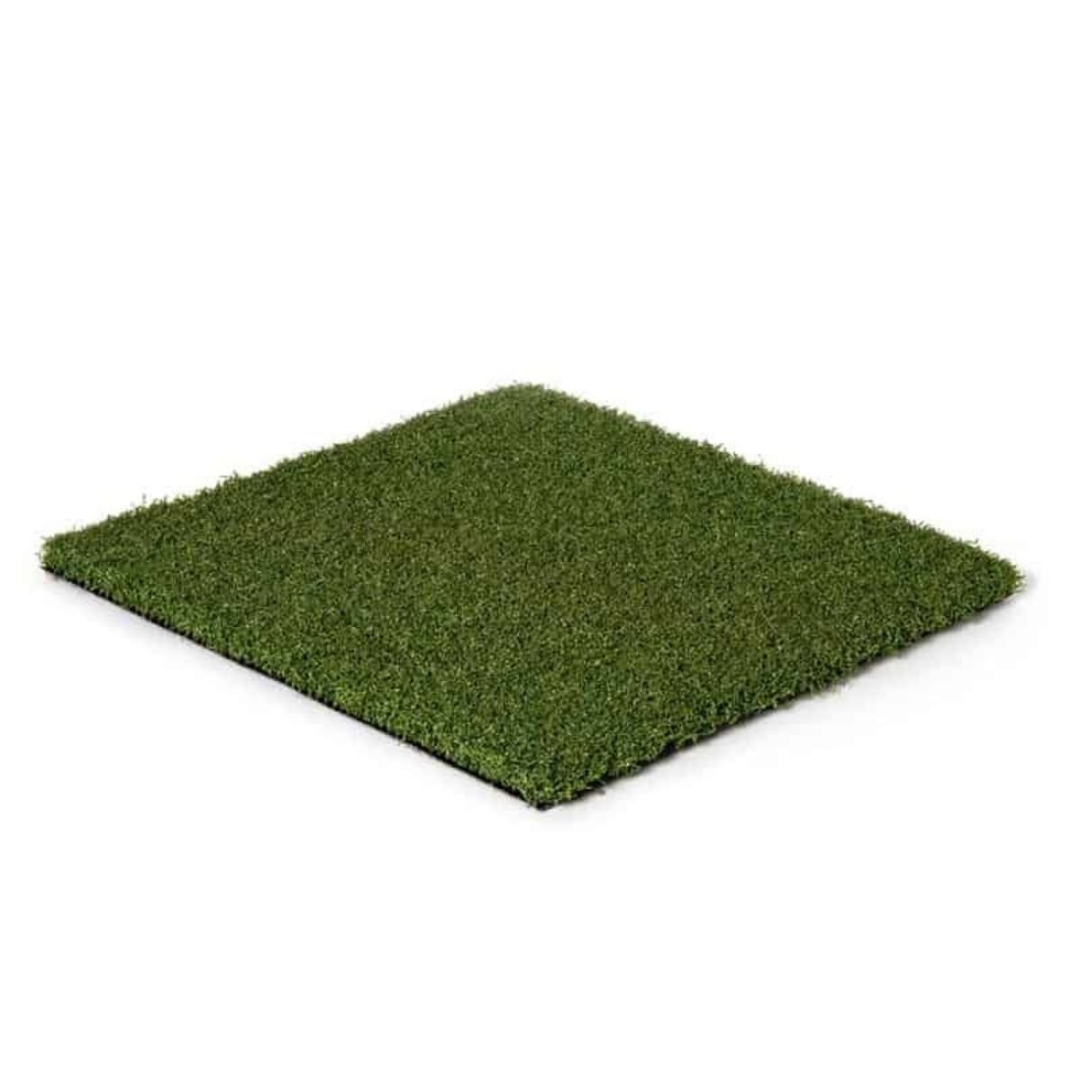 Rymar Pro Putt Putting Green Surface 56 oz. Face Weight 0.71 in. Dark ...