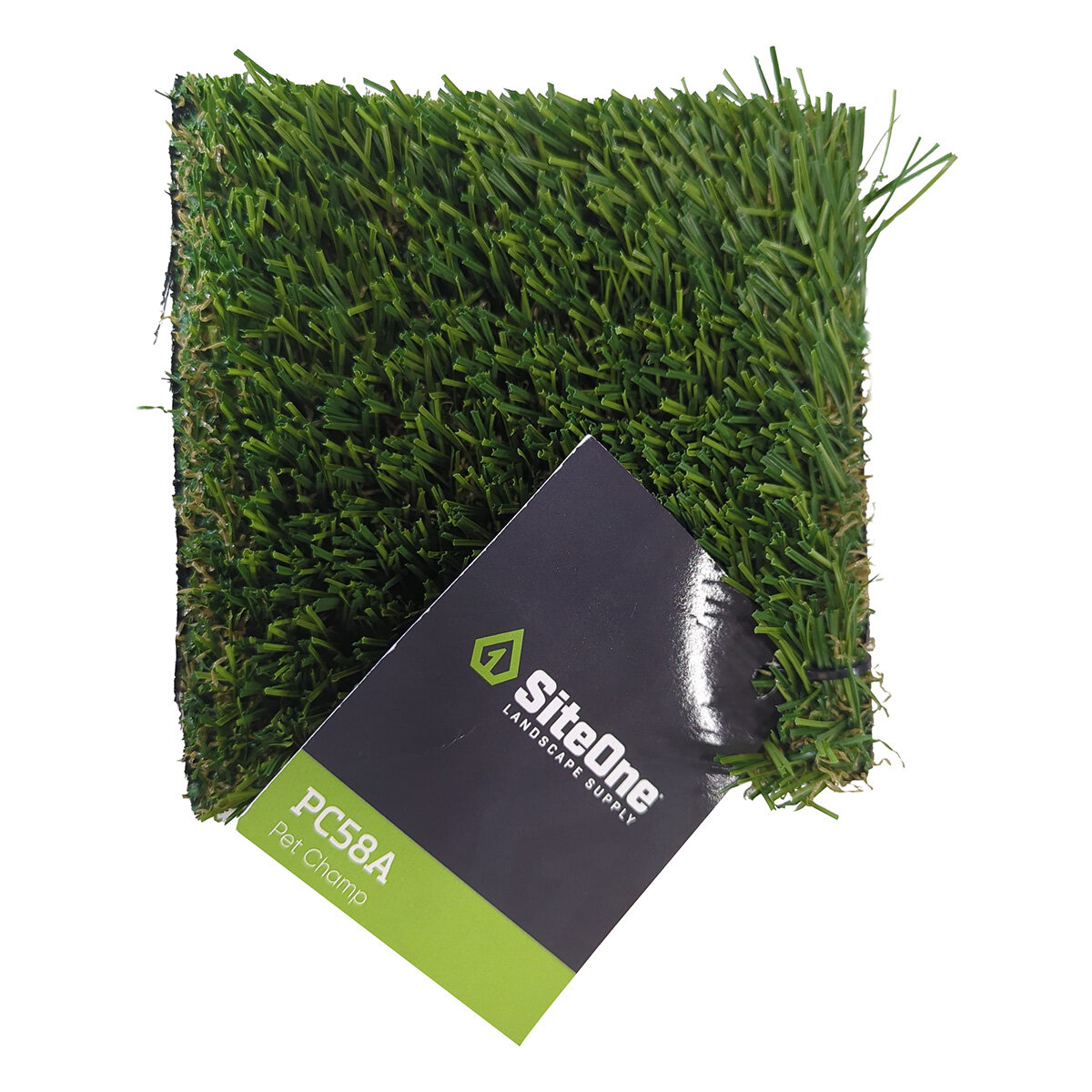 STR Pet Champ Apple Synthetic Turf 58 oz. Face Weight 1.25 in. Field ...