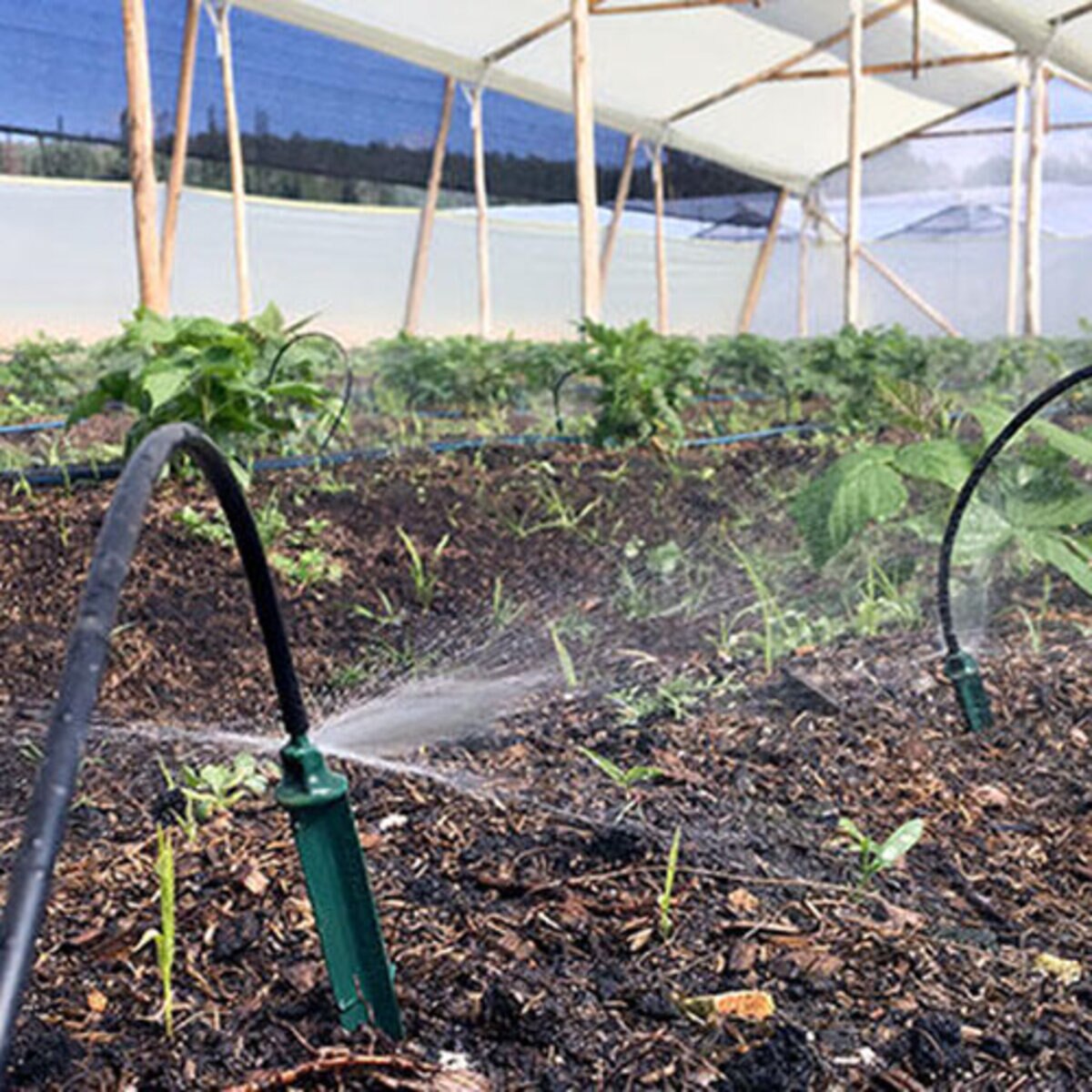 Senninger Spray Stake Green 160 Degree 12 GPH | SiteOne