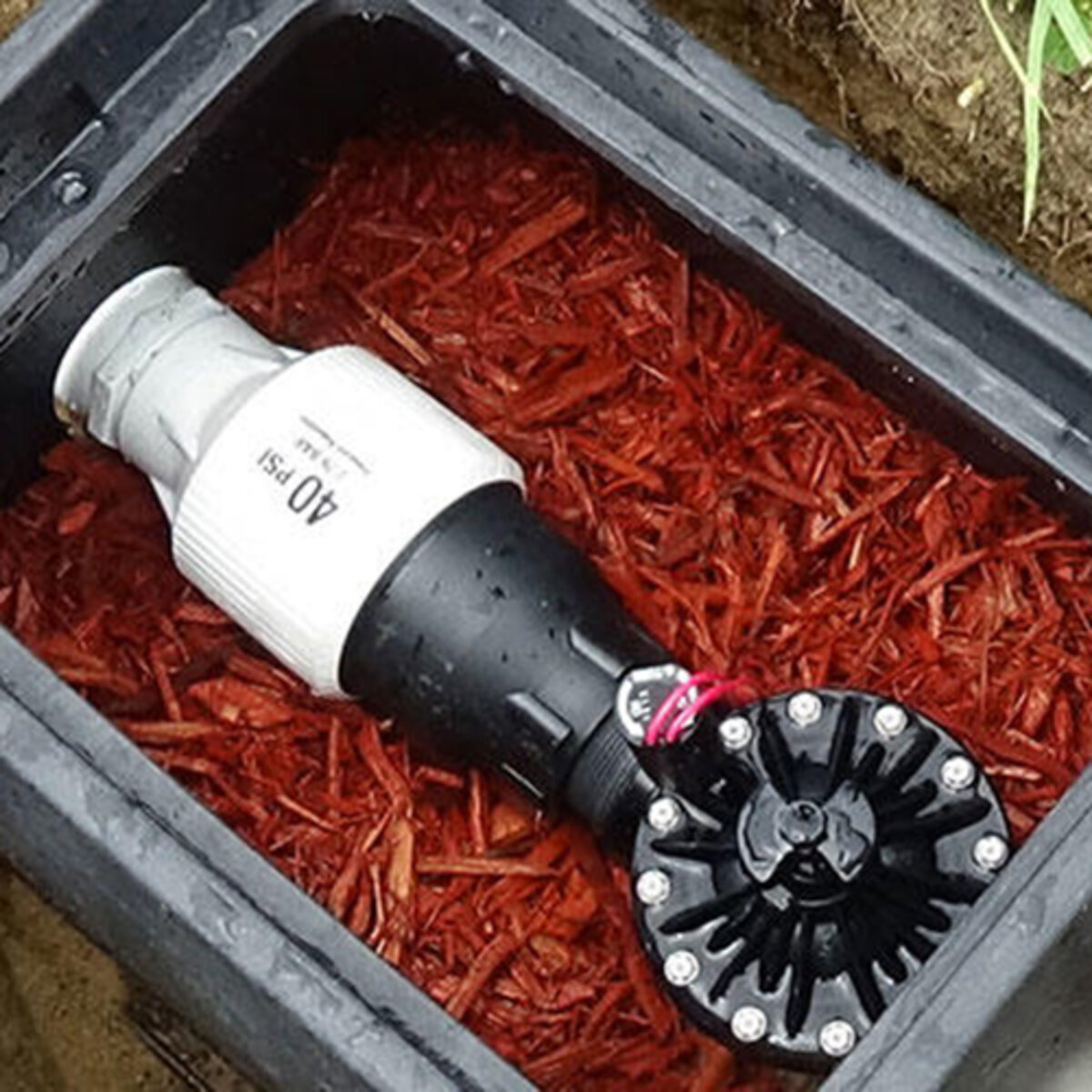 Senninger High Flow Pressure Regulator 20 GPM - 100 GPM 2 in. Fipt x ...