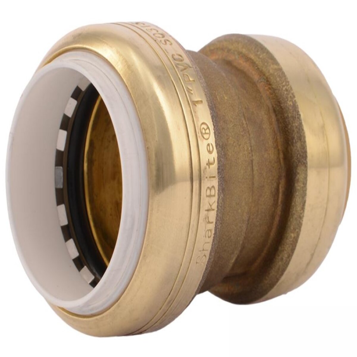 SharkBite PVC Transition Coupling 1 in. CTS | SiteOne