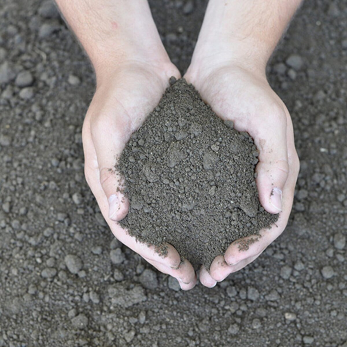 Screened Topsoil Bulk (per cu. yd.) | SiteOne US