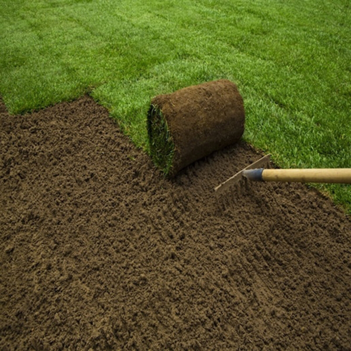 Bermuda Sod PremierPro Bermudagrass (per sq. ft.) | SiteOne US