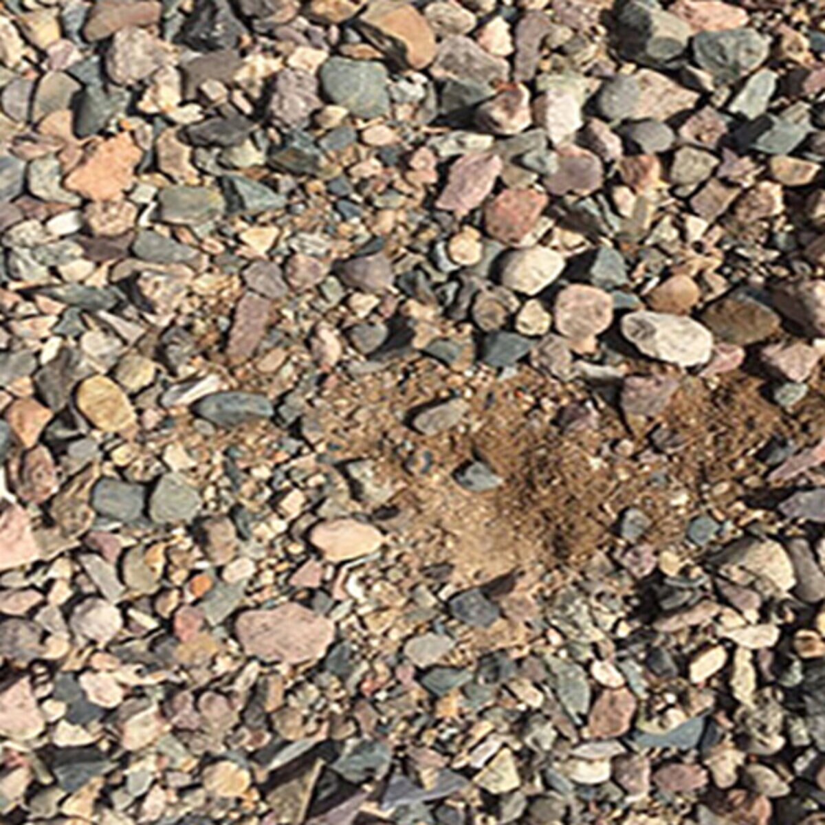Bulk Concrete Mix Sand & Gravel 60/40 | SiteOne US