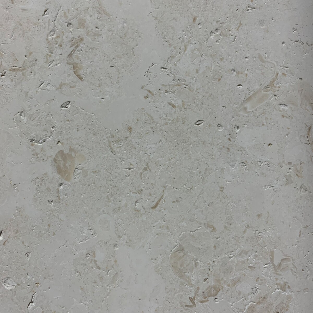 Solstice Coping Shellstone Limestone Bullnose 1 Long 2 | SiteOne