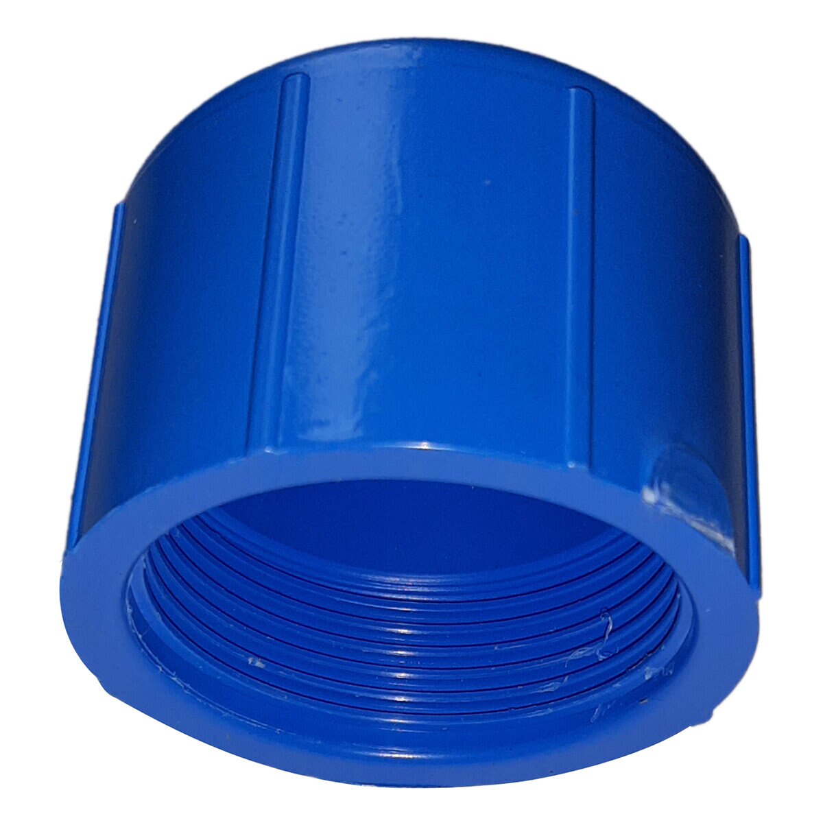 Spears EverTUFF PVC Swing Joint Cap 1-1/2 in. FAT | SiteOne US