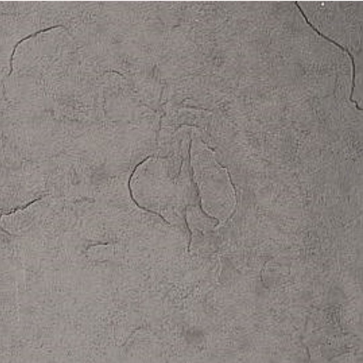 Stepstone Sonorastone Paver Sterling Gray 12 in. x 24 in | SiteOne US