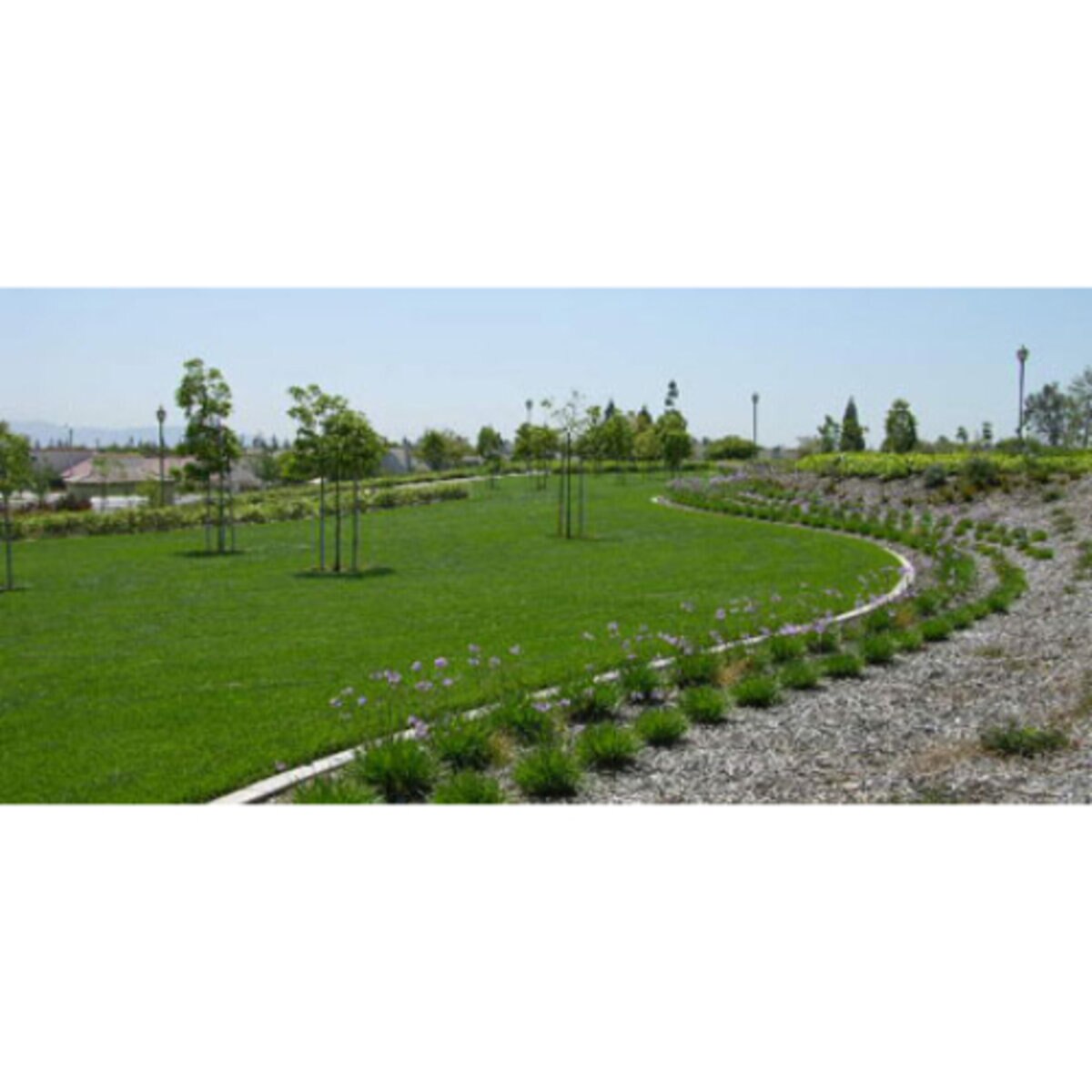 Stover 4 lb. Triple Crown Fescue Seed | SiteOne US