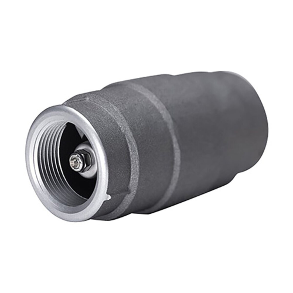 Strataflo FNPT Check Valve 4 in | SiteOne