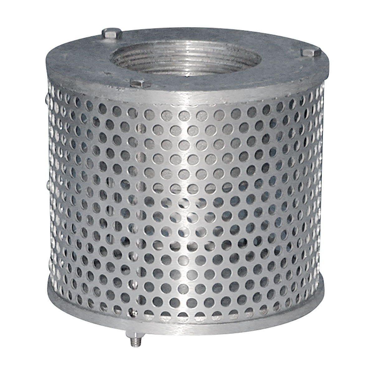 Sure-Flo IPS Strainer 3 in. Threaded | SiteOne