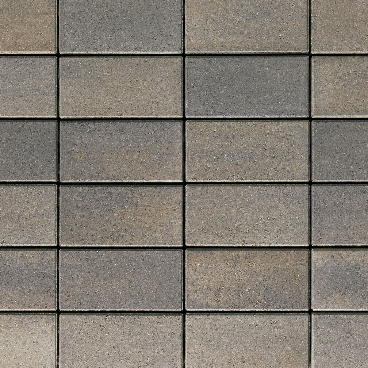 Techo-Bloc Blu 80 Paver Smooth Champlain Grey 6 in. x 13 in. 80 mm (84. ...