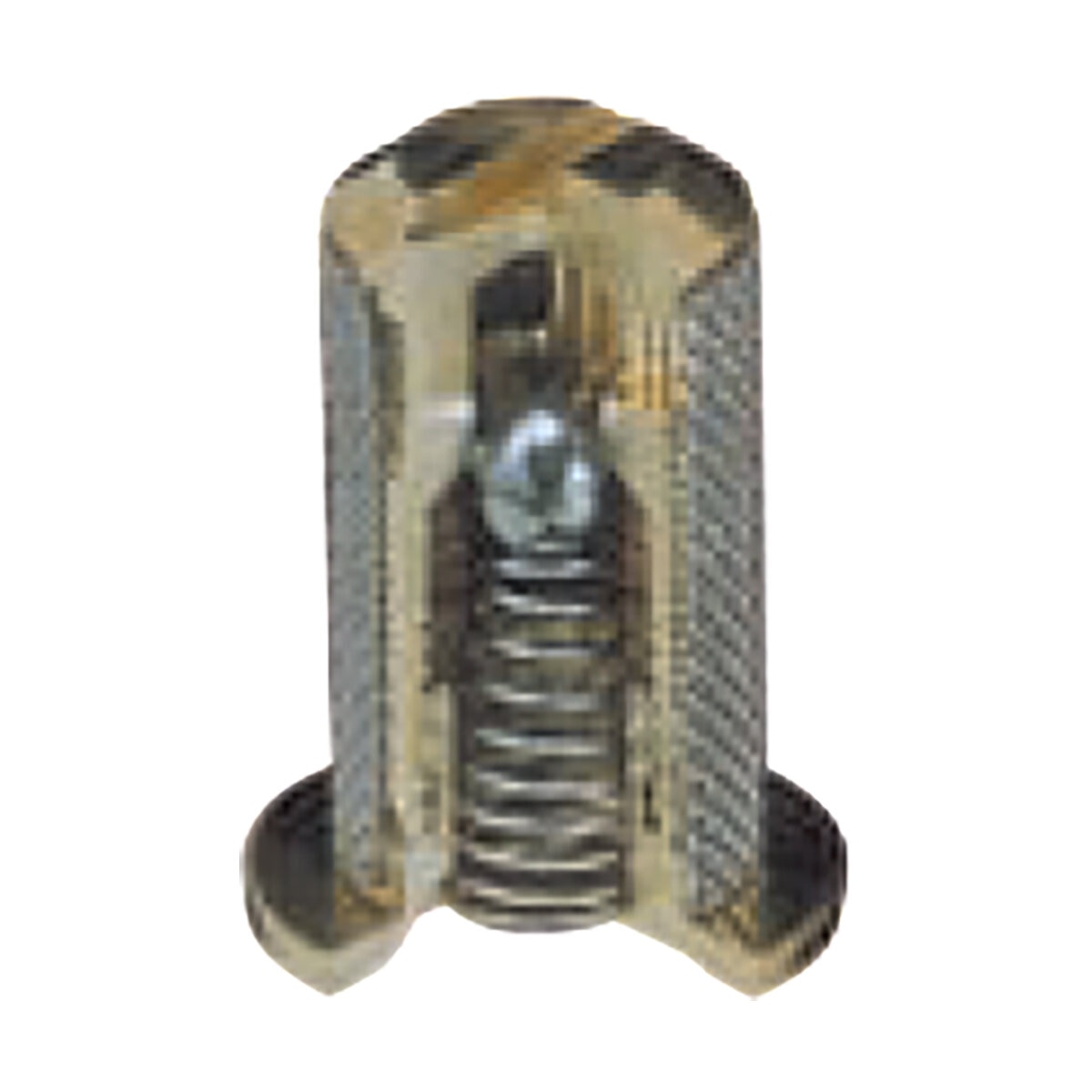 50 Mesh Tip Strainer With 5 PSI Check Valve TeeJet | SiteOne US