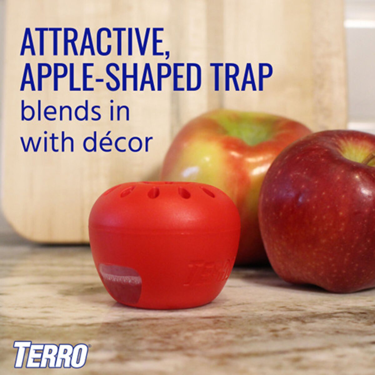 Terro Fruit Fly Trap | SiteOne
