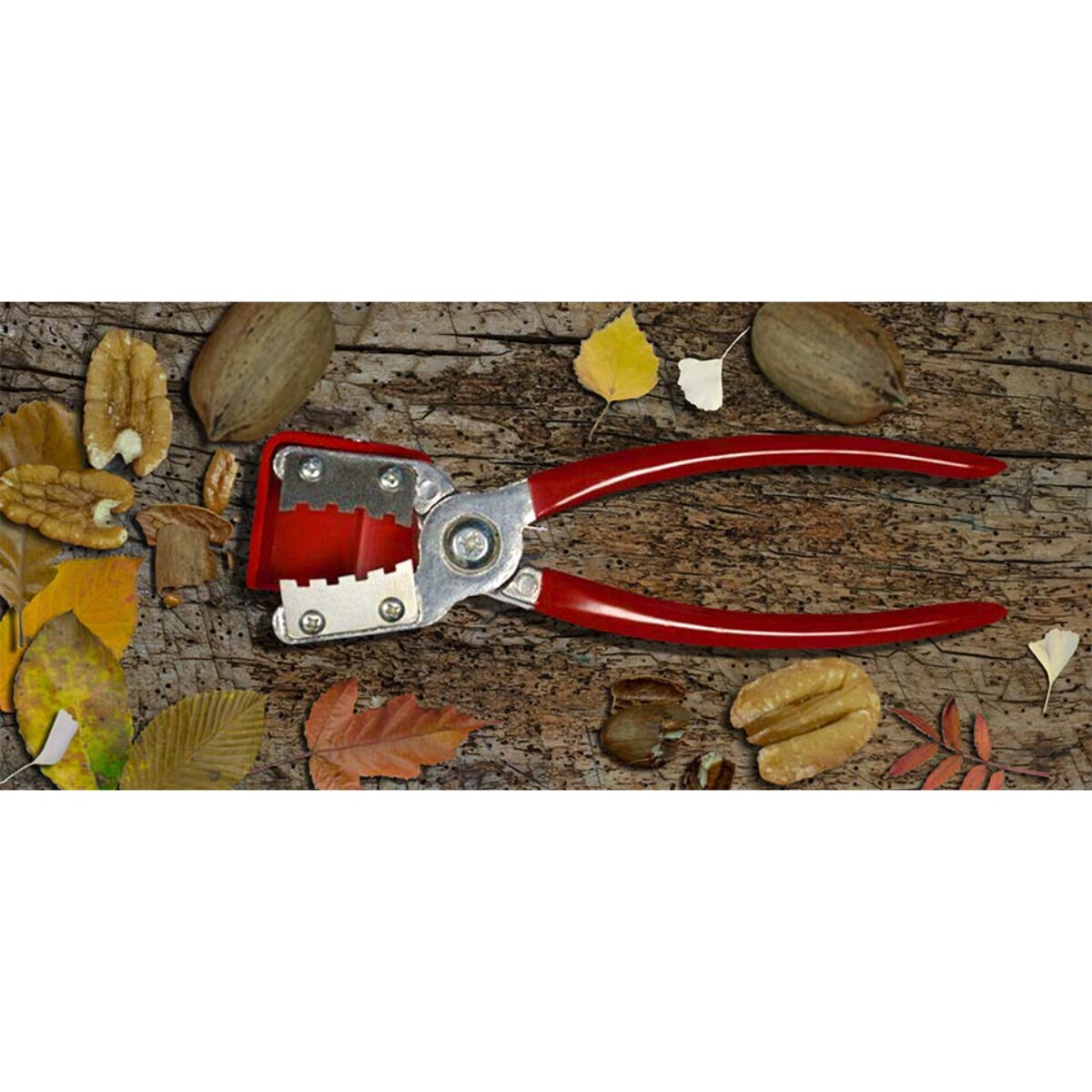 Texan York Nut Sheller | SiteOne US
