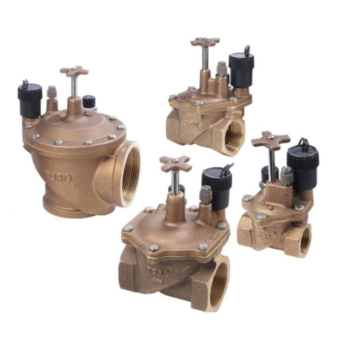 Toro Globe Valve 220 Brass 1-1/4 in. w/ Pressure Regulator w/ Spike ...