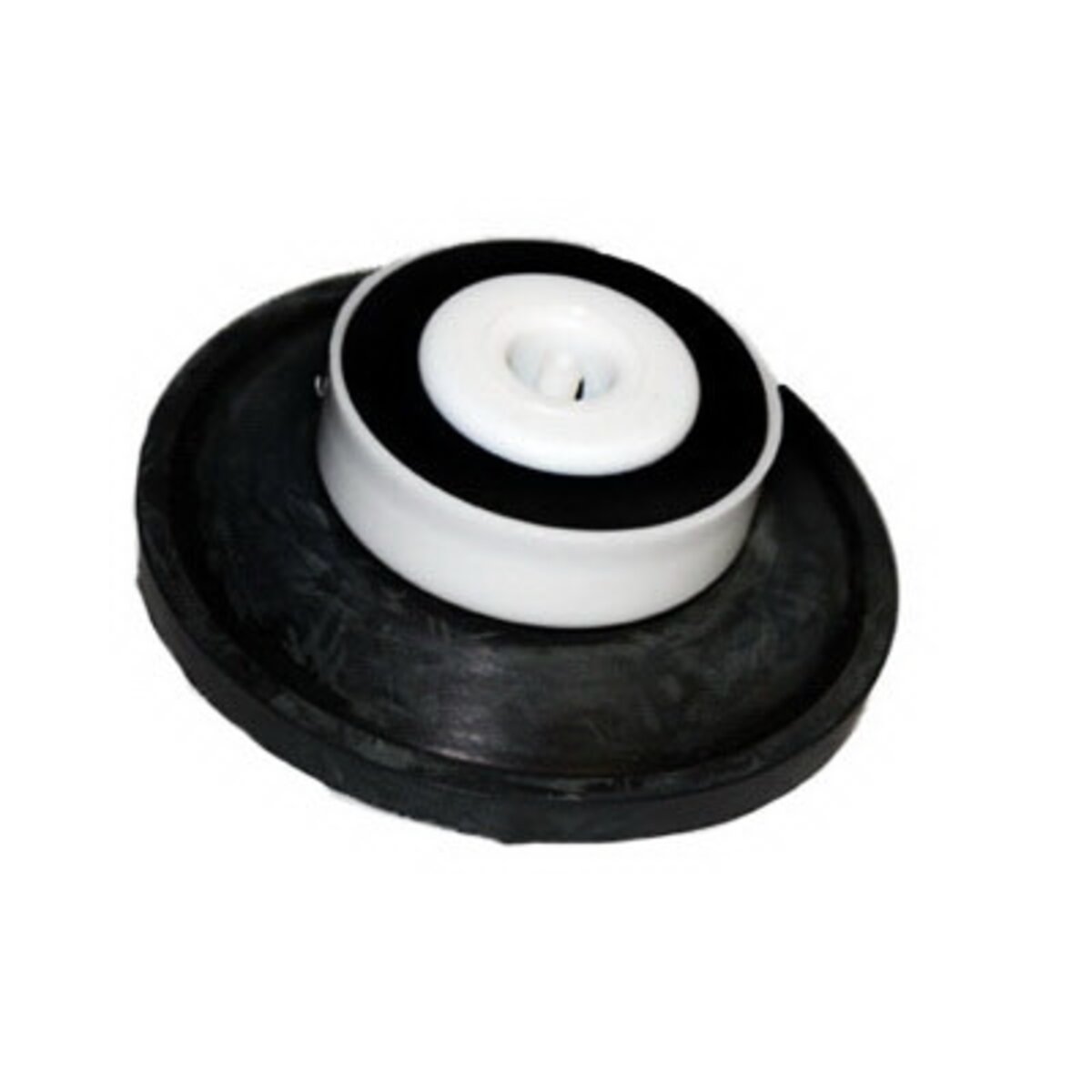 Toro Diaphragm Assembly 1 in. for 250 252 and 260 | SiteOne US