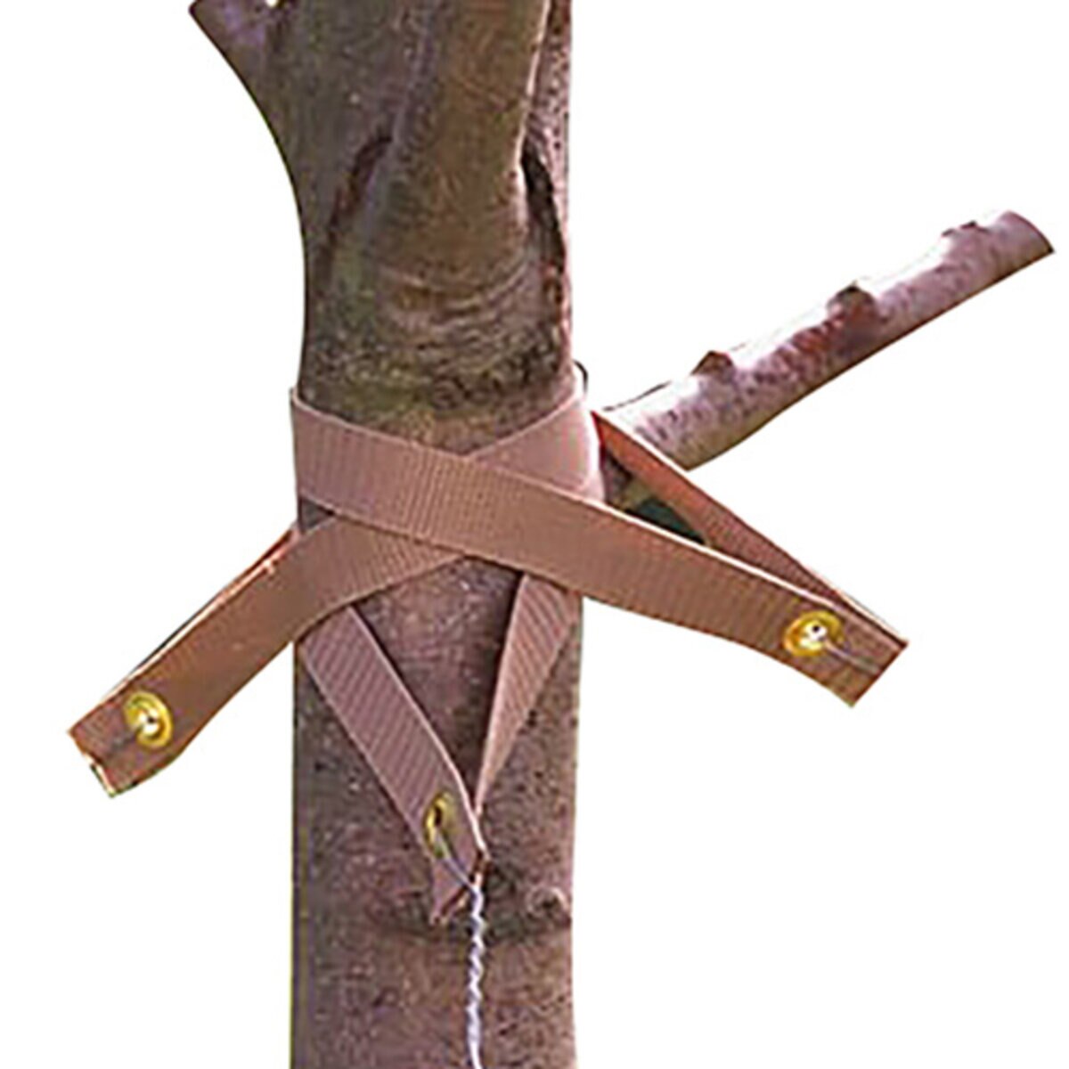 Treestrap Woven Tree Strap Green Polypropylene 2 to 4 ft. Caliper 18 in ...