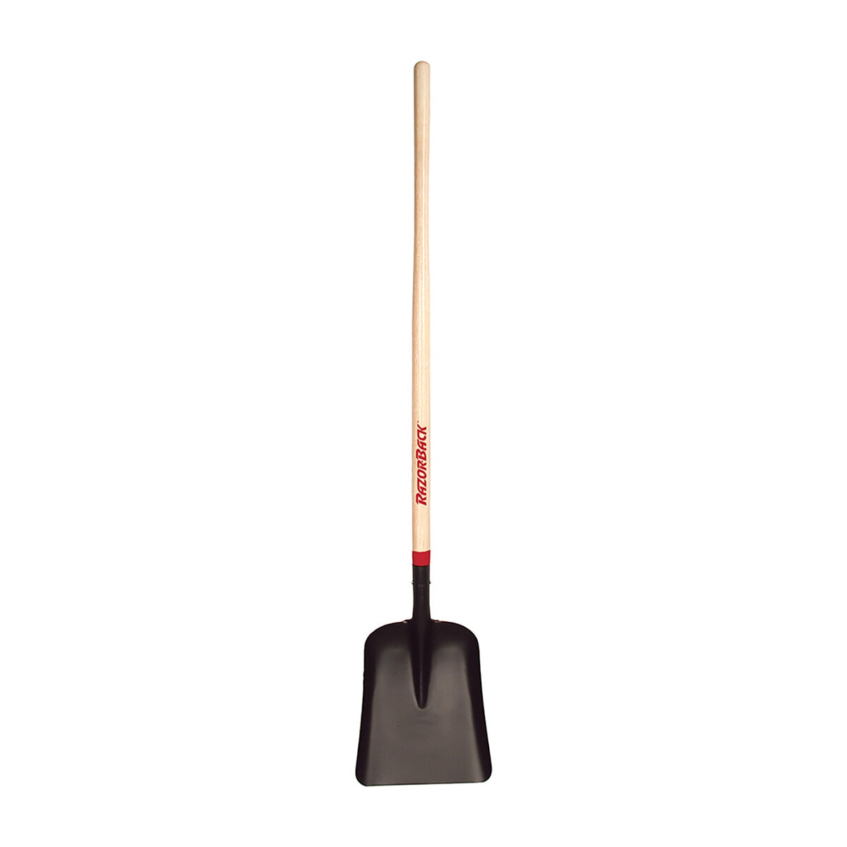 Scoop Steel Long Handle 11 in | SiteOne US