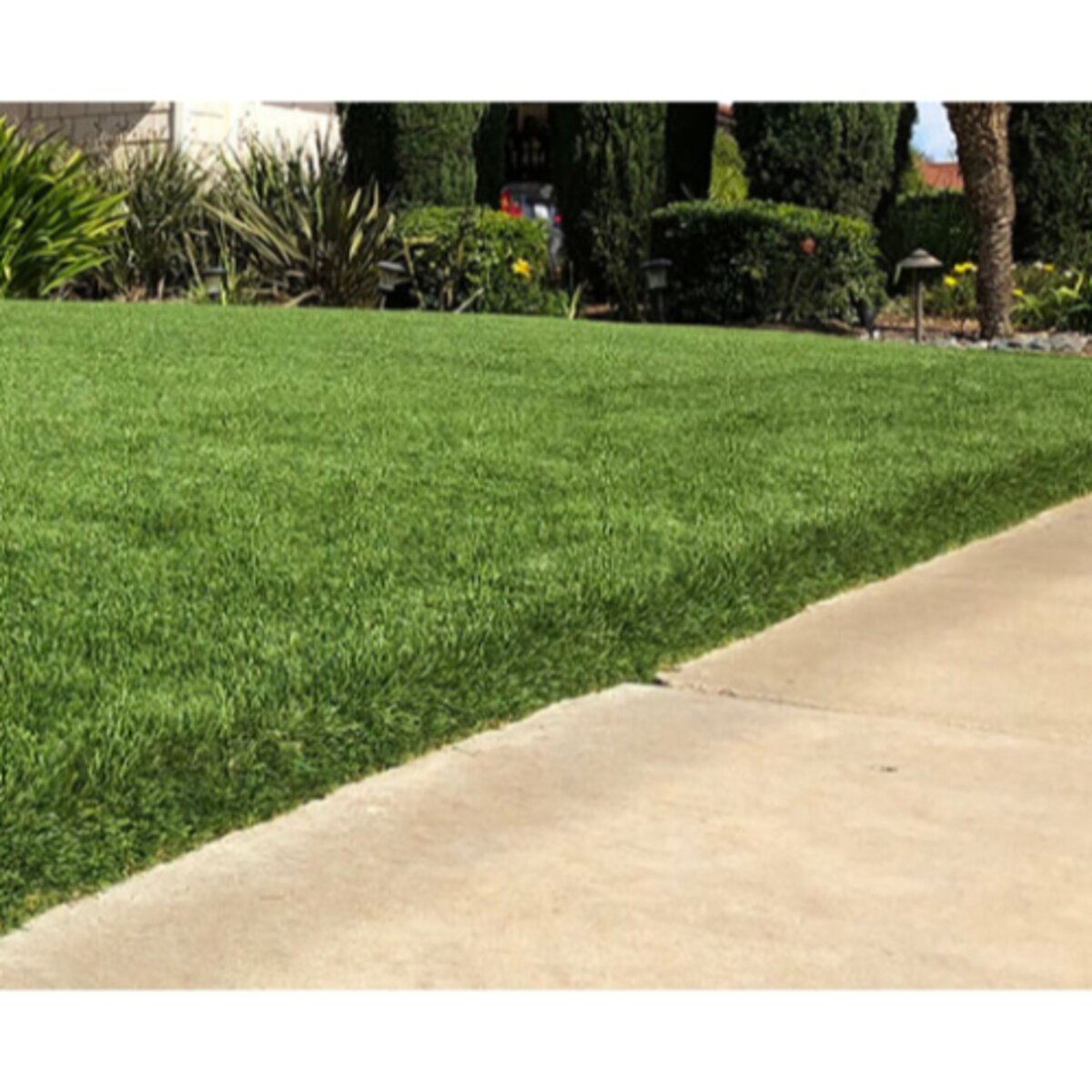 Turf Edge Synthetic Turf Landscape Edging 4 ft. per piece (25 pc./box ...