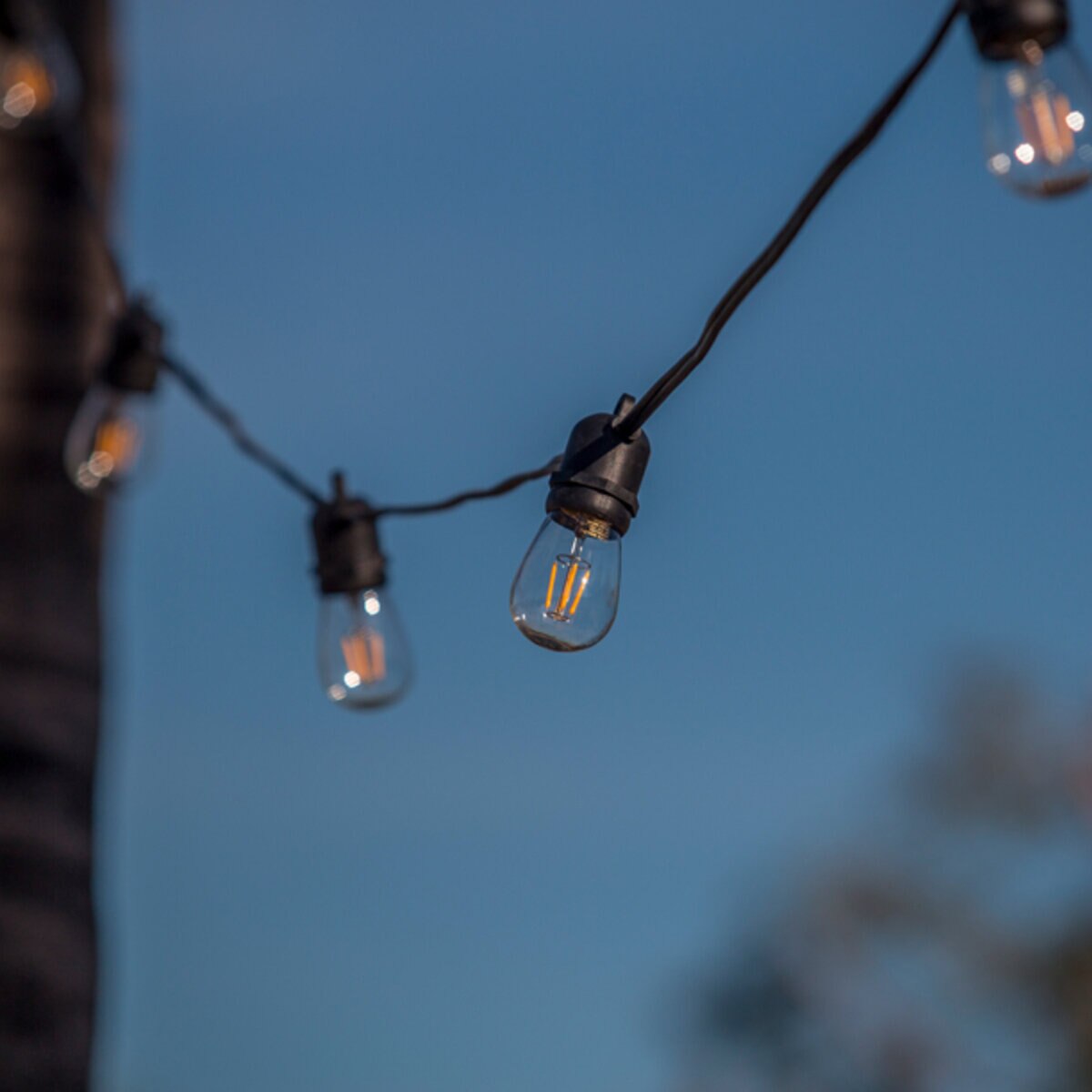 Bistro Light 12V S14 2W LED 24 ft. String | SiteOne US
