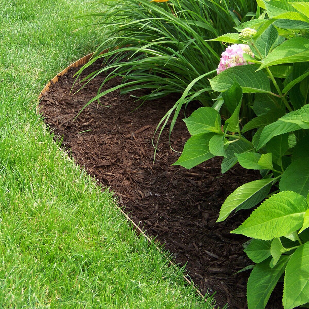 Valley View Coil Bender Board Light Brown 3 in. x 20 ft | SiteOne US