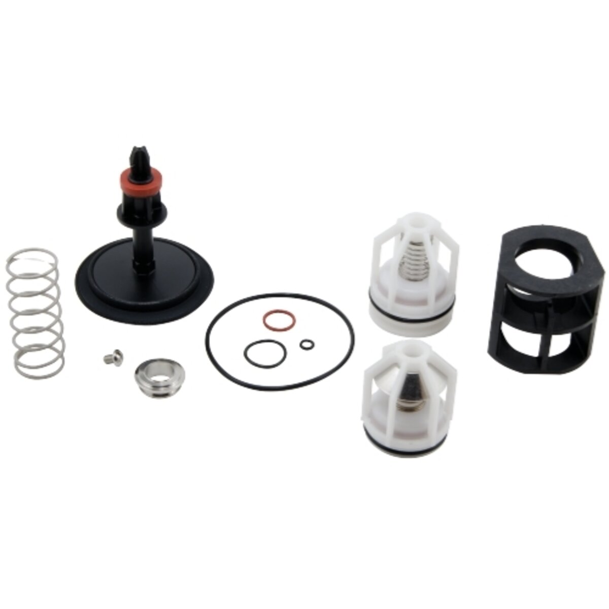 Watts Total Repair Kit 1 in. for 009M2 RP | SiteOne US