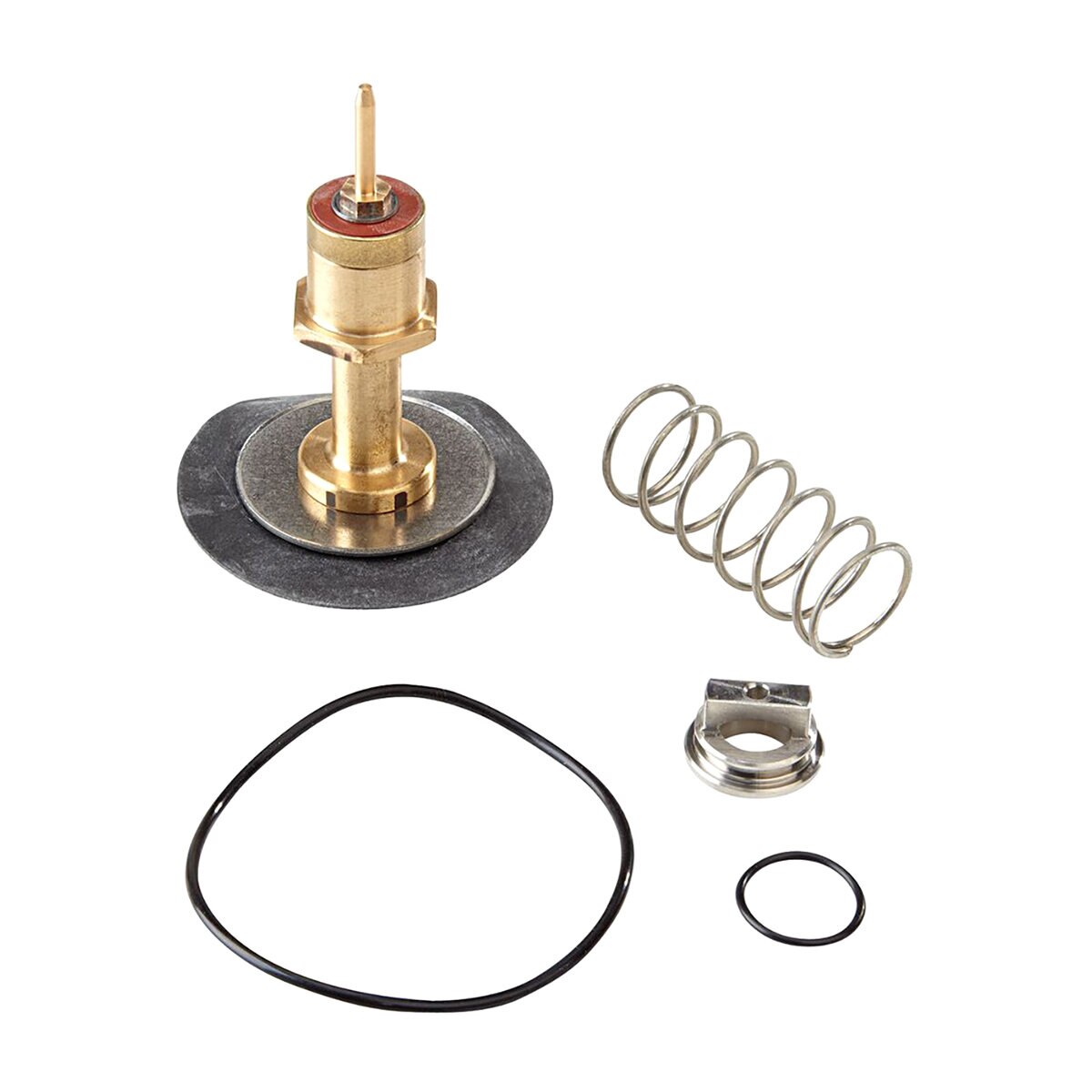 RK-009 Relief Valve Repair Kit 3/4 in.- 1 in | SiteOne US