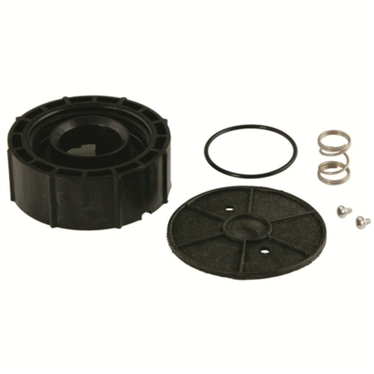 Watts Bonnet Assembly Kit 1 in. for 800M4 PVB | SiteOne US