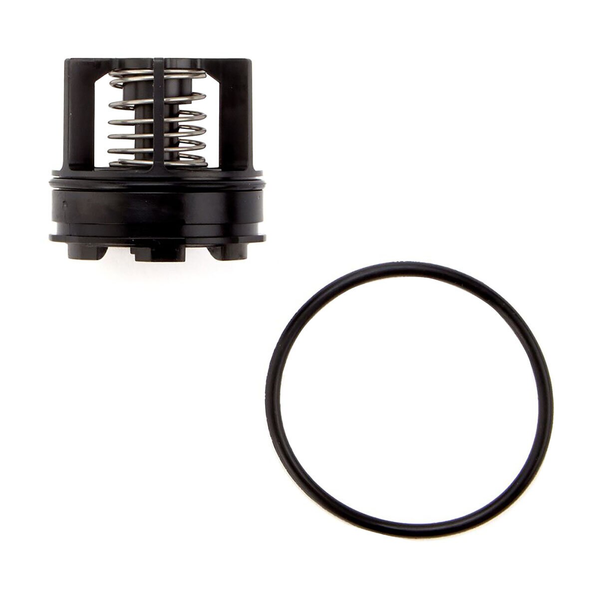 Watts 007M3 Second Check Repair Kit 3/4 in | SiteOne US
