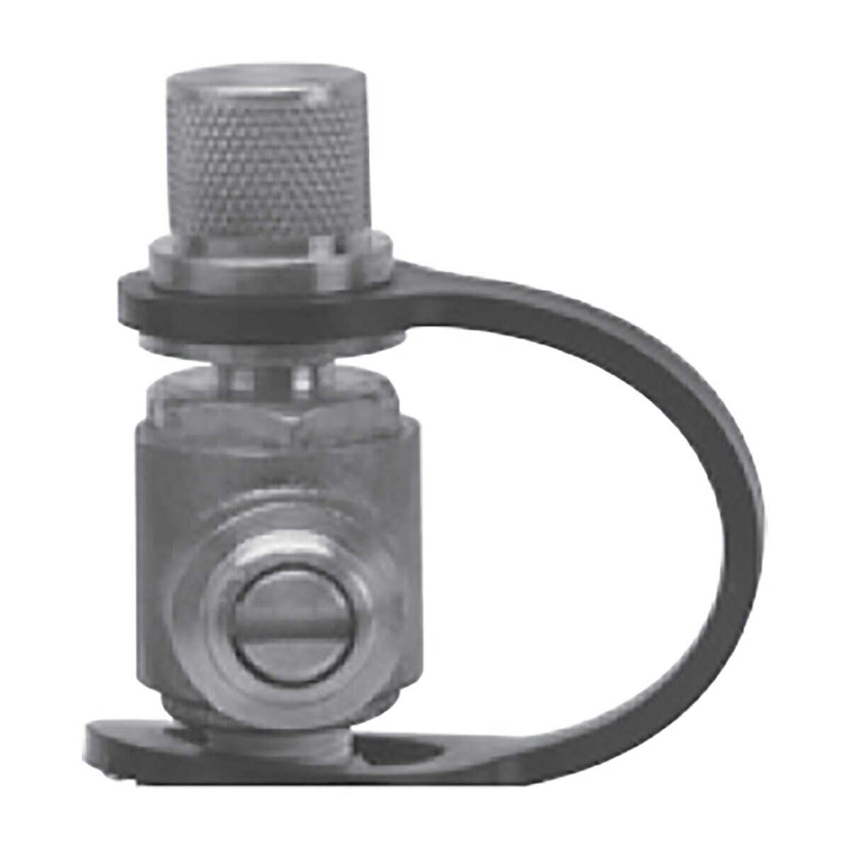 Watts RK TC-P 1/8-1/4 Test Port Cap & Thether | SiteOne US