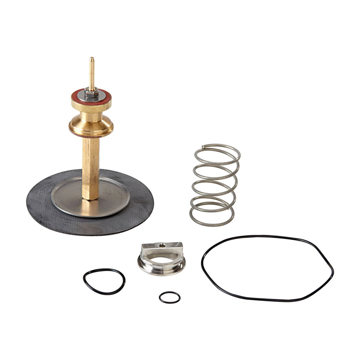 Watts RK 009-VT 1 1/4-2 Total Relief Valve Kit | SiteOne US