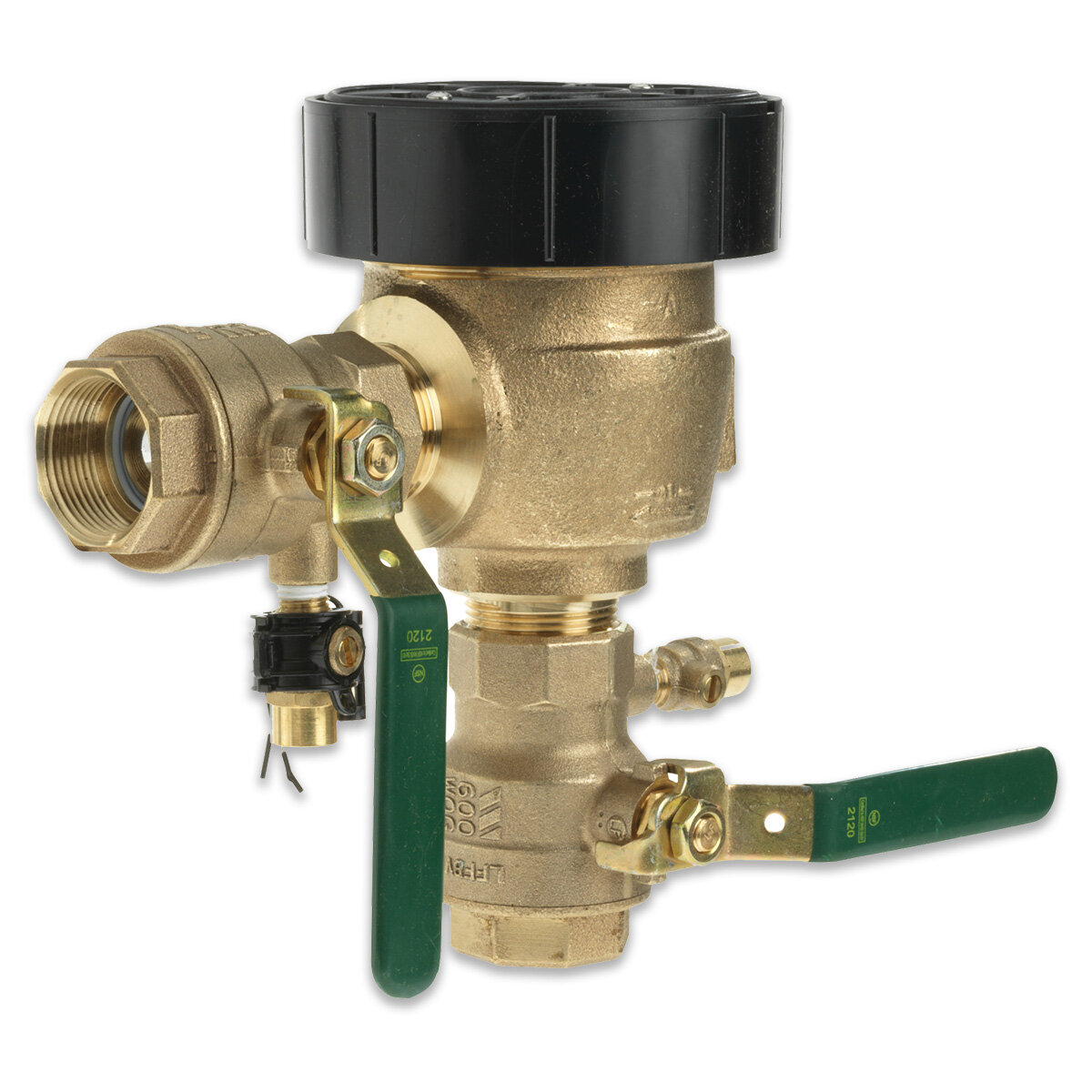 Watts 800M4 Anti-Siphon Pressure Vacuum Breaker w/ Ball Valves 1-1/4 in ...