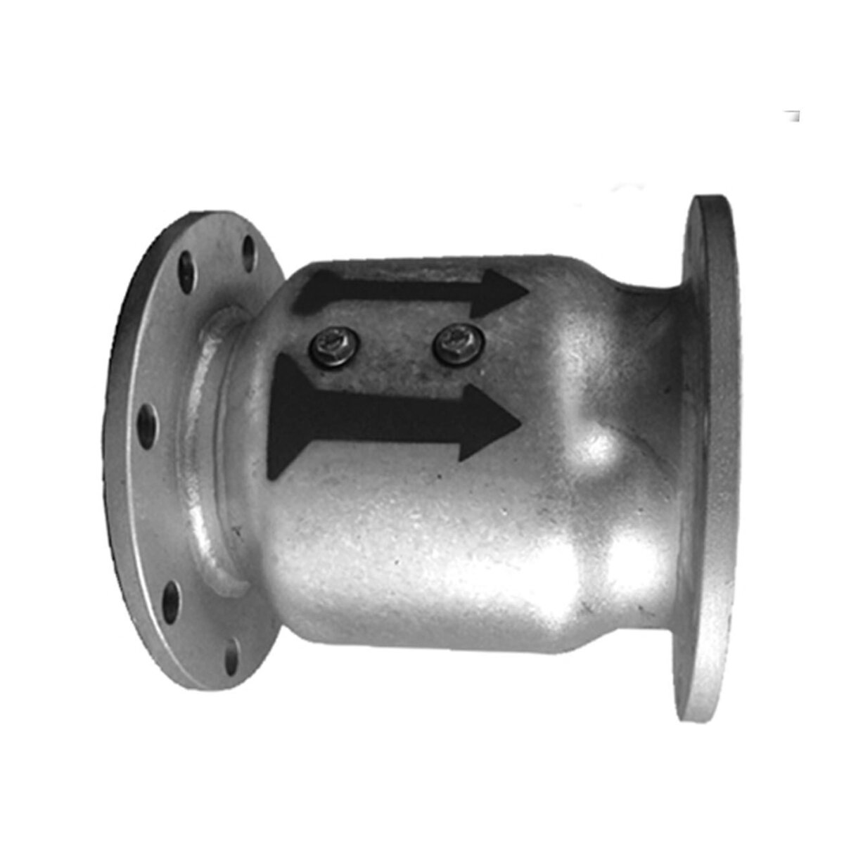 Watts Check Valve Fff Flanged Joint 150 PSI 4 in. Galvanized Steel ...