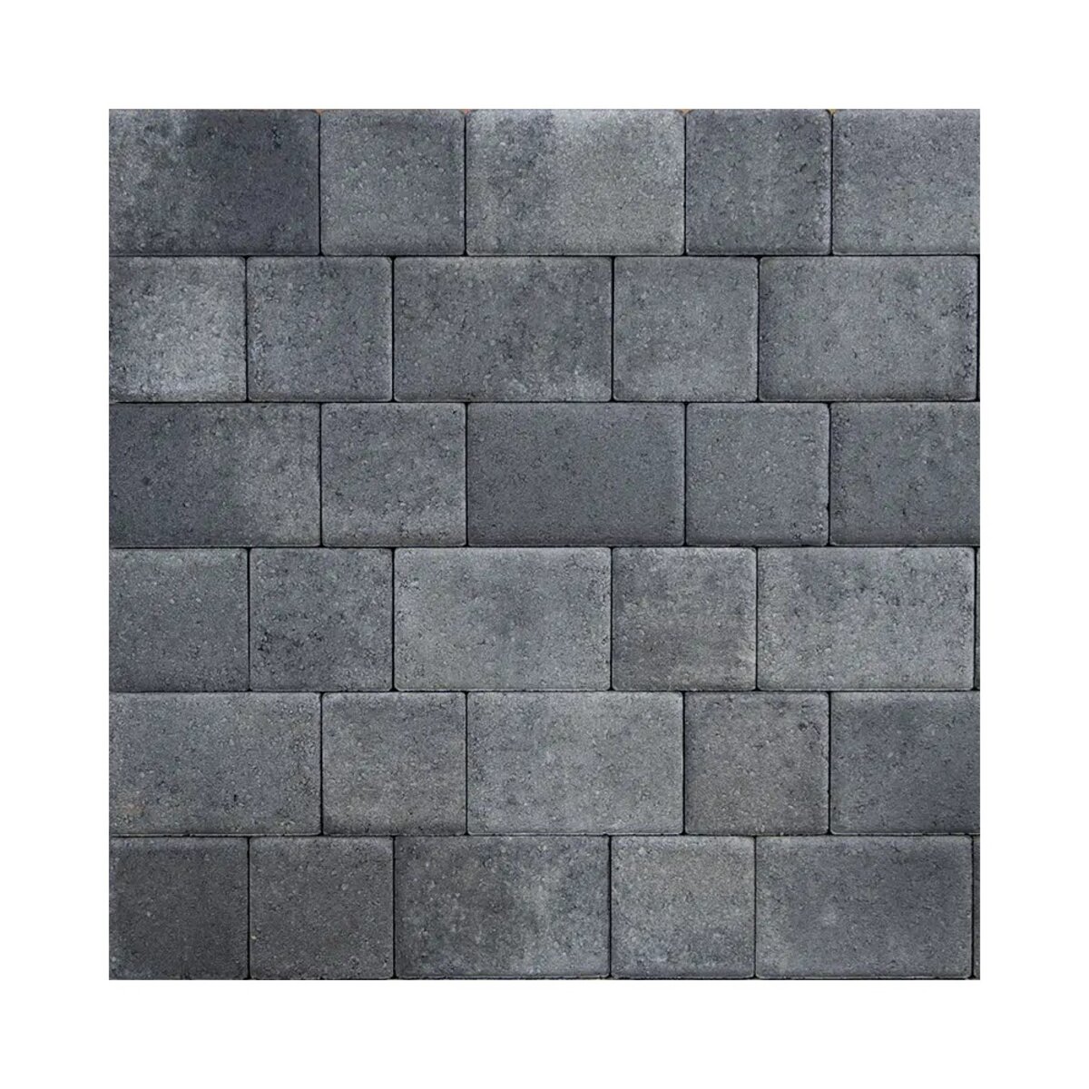 Western Interlock Camino Stone Large Paver Rectangle 9.37 in. x 6.22 in ...