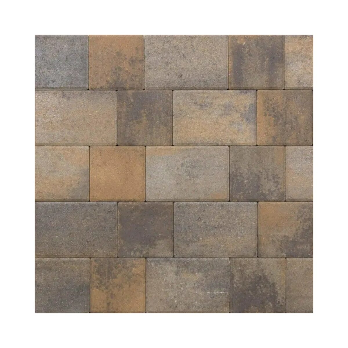 Western Interlock Plaza Stone Paver 11.73 in. x 7.8 in. | SiteOne